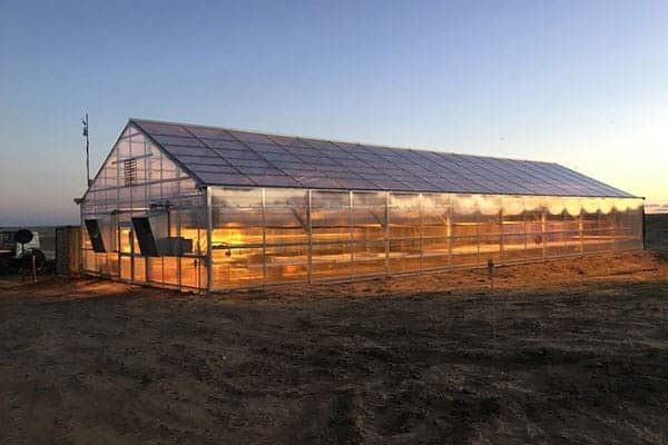 About - Hemp Depot Wholesale